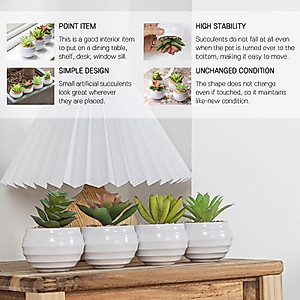 GOODSDECO Artificial Succulent Plants in Pots, Fake Plants for Indoors, Home Garden Decor, Cactus Plants Artificial, Fake Cacti, Faux Succulents, Set of 4