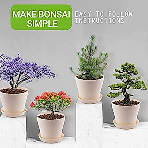 DORAKCI Bonsai Tree Kit - Gardening Gift for Men & Women - Bonsai Tree Growing Garden Crafts Hobby Kits for Adults - Room Decor - Bonsai Tree for Beginners - Crafts for Adults