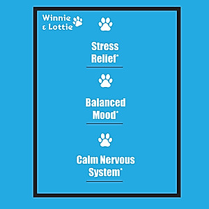 Winnie & Lottie Cat Calming Drops | Cat Anxiety Relief | Calm Cat | Anxiety Relief for Cats | Cat Calming | Cat Calming Supplement | Cat Anxiety | Cat Stress Relief | 1 fl oz | Roast Chicken Flavor