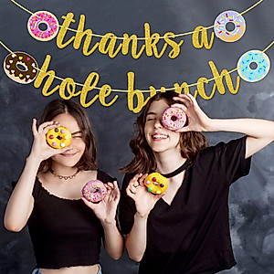 Thanks a Hole Bunch Banner, Pre-strung Donut Thanks Banner, Donut Baby Shower, Donut Bar, Donut Birthday Party Banner, Donut Theme Party Decorations