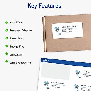 Avery Shipping Address Labels, Laser & Inkjet Printers, 100 Labels, 2x4 Labels, Permanent Adhesive, TrueBlock (18163)