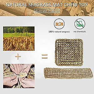 Bird Seagrass Mat,Natural Seagrass Woven Net Bird Foraging Chew Wall Toys Parakeet Hammock Mat with Hooks for Lovebird Cockatiel Conure Budgie,Size 28.3" X 6.7" and 11.81" X 11.81"(2 Pcs)