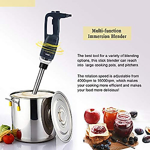 Zz Pro Commercial Electric Big Stix Immersion Blender Hand held variable speed 500 Watt Mixer with 10-Inch Removable Shaft, 15-Gallon capacity(LW500S10)