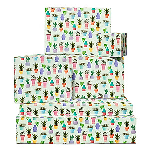 Central 23-6 Wrapping Paper Sheets - Green Pot Plants - Trendy Gift Wrap for Girls Teenagers Women - Birthday - Recyclable - Eco