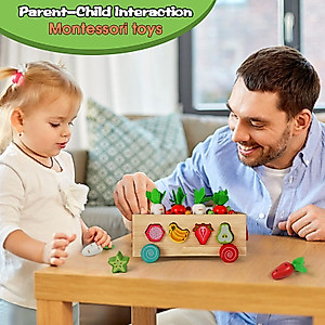 Uncle Nick Montessori Toys for Toddlers Educational Toys for 1 2 3 Year Old Girls Birthday Gifts, Wooden Shape Sorter Toy Carrot Harvest Game, Fine Motor Skill Early Learning Toys for Babies