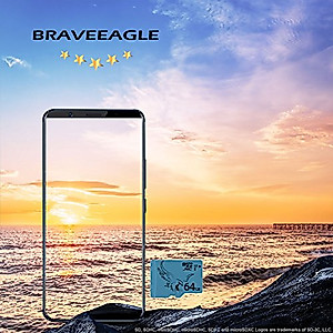 BRAVEEAGLE 64GB microSD Card Class 10 SD Memory Card UHS-1 for Camera/Drone/Dash Cam (64GB U1)