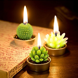Glarks Cute Tea Lights Tealight Candles, Succulent Cactus for Birthday Party Valentine's Day Wedding Spa Home Decor and DIY Gift, 12Pcs a Pack