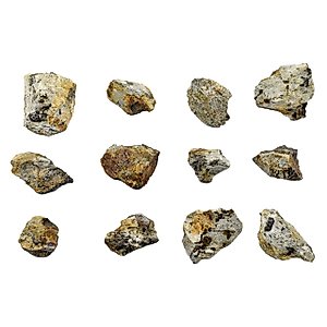 EISCO 12PK Raw Garnet Schist, Metamorphic Rock Specimens - Approx. 1" - Geologist Selected & Hand Processed - Great for Science Classrooms - Class Pack