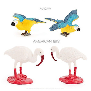 DOYIFun 10 Pcs Simulated Bird Animals Parrot Model Figure Toys, Realistic Flamingo Birds Figurine Collection Playset Cake Toppers Gift for Kids Educational Toys