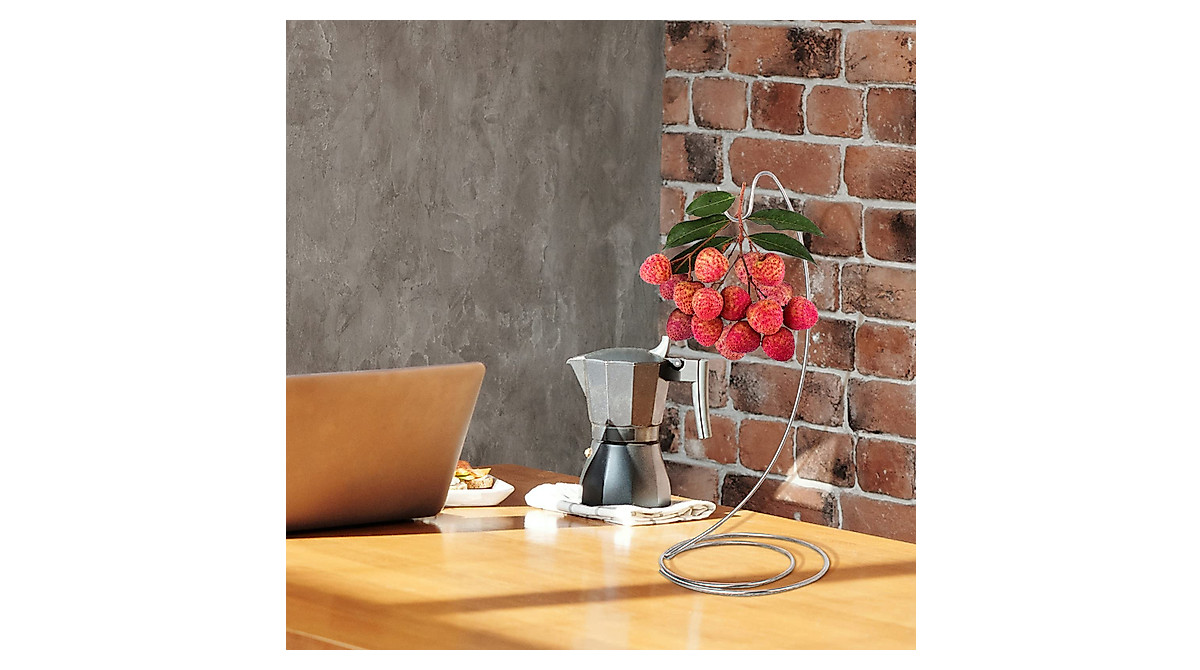 Banana Holder,Multifunctional Fruit Stand for Hanging Bananas, Grapes ...