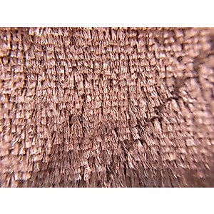 GEXWORLDWIDE GEX Beauty Flexible Velvet Wig Grip Scarf Head Hair Band Wig Band Adjustable Fastern (Nude)