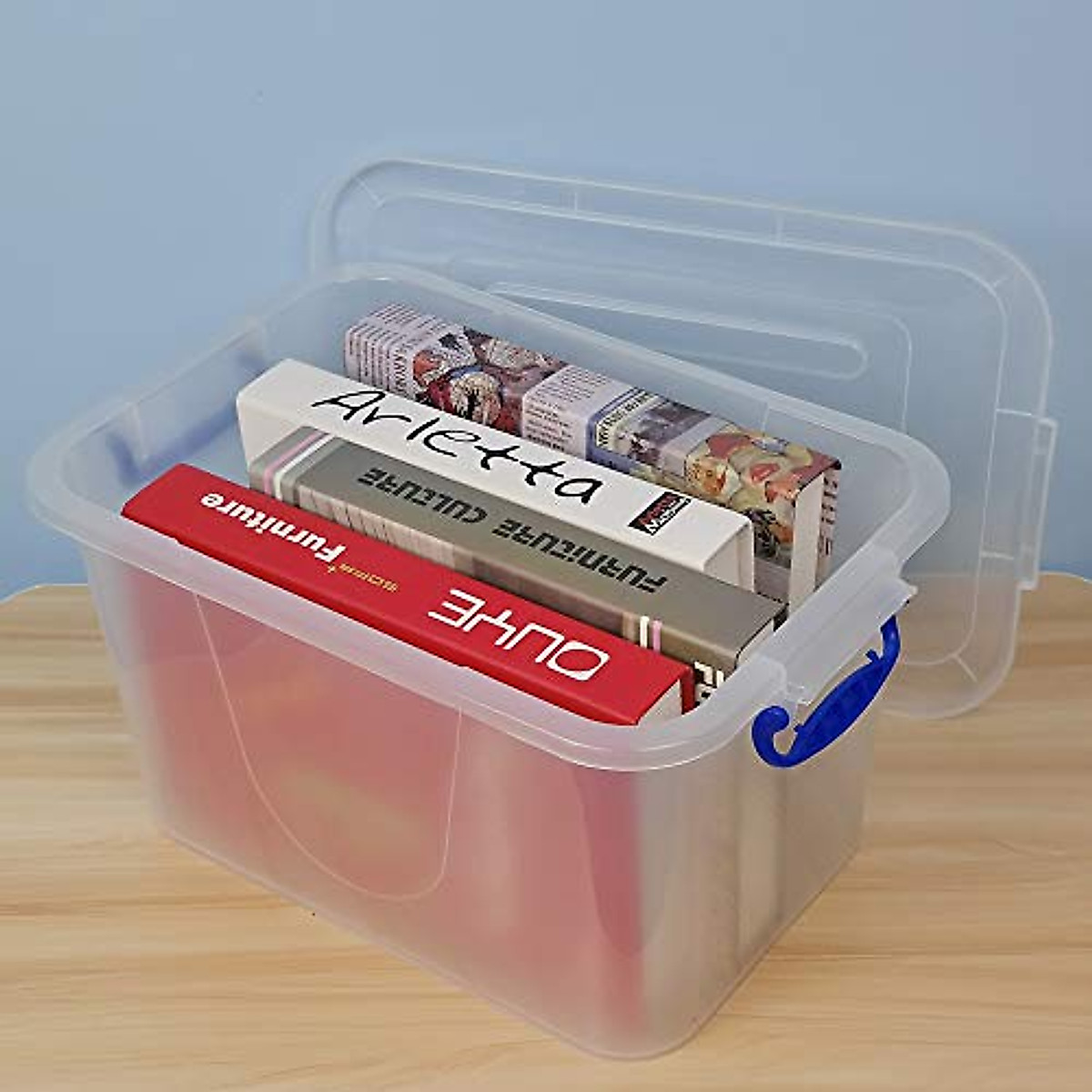 Vababa 4-Pack 12 L Clear Plastic Latch Storage Boxes with Lids