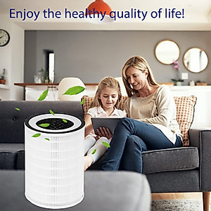 True HEPA Filter Replacement Compatible with