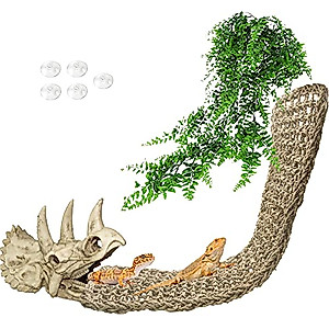 Tfwadmx Bearded Dragon Tank Accessories Resin Dinosaur Triceratops Skull Lizard Hammock Reptiles Habitat Hideout Cave for Lizard Chameleon Snake Spider Frog Gecko