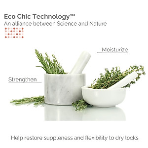 GIOVANNI Eco Chic 50:50 Balanced Hydrating Conditioner, 8.5 fl oz, Vegan, Sulfate & Paraben Free, Color Safe, Moisturizing for Normal to Dry Hair