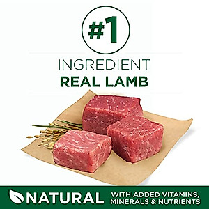 Purina ONE Natural Small Breed Dry Dog Food, +Plus Lamb & Rice Formula - 7.4 lb. Bag