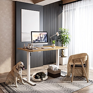 SANODESK Electric Standing Desk 48 x 30 Inches, Height Adjustable Stand Up Desk w/2-Button Controller, Ergonomic Computer Desk for Home Office, White Frame + Natural Tabletop