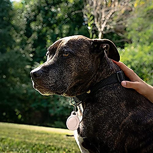 AirTag Dog Tag Waterproof Pet Holder for Apple Updated Model (Soft Pink)