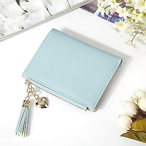 Belsmi Women's Small Compact Slim Leather Mini Wallet Lady Purse Zipper Pocket Card Organizer Bifold Wallets (Pink)