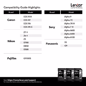 Lexar Professional 1667x 64GB (2-Pack) SDXC UHS-II Cards, Up To 250MB/s Read, for Professional Photographer, Videographer, Enthusiast (LSD64GCBNA16672)