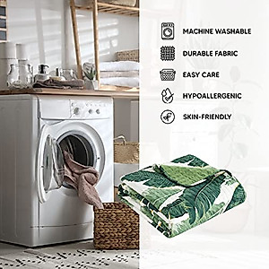 Chic Home Palm Springs 9 Piece Quilt Set Stitched Palm Tree Print Bed in A Bag - Sheet Set Decorative Pillow Shams Included, Queen, Green