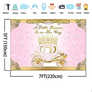 Mocsicka Little Princess Baby Shower Backdrop Pink Princess Carriage Gold Crown Baby Shower Background 7x5ft Silver Little Stars Girls Baby Shower Banner Decorations for Photobooth Props