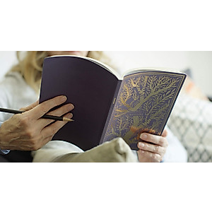 ESV Illuminated Scripture Journal: New Testament Set