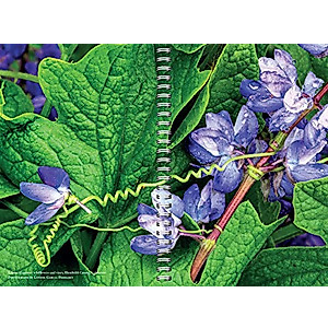 Audubon Engagement Calendar 2021