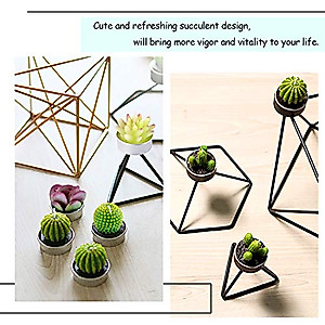 Swpeet 12Pcs Decorative Succulent Cactus Tealight Candles Kit, Cute Smokeless Succulent Plants Perfect for Candles Festival Wedding Props and House-Warming Party (N0.7-Candle)