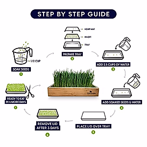 Self Watering Cat Grass Kit. Hands Down The Easiest Way to Grow Cat Grass. Everything Included to Grow a Large Crop of Delicious Cat Grass.