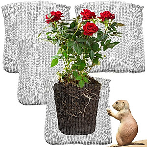 GIFTEXPRESS 4pc 5 Gallon Gopher and Vole Wire Baskets, Gopher Wire Mesh Plant Root Protector Gopher Baskets for Gopher Repellent to Prevent Underground Burrowing Animals and Critter Damages