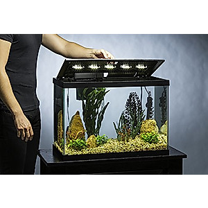Tetra Aquarium 20 Gallon Fish Tank Kit, Includes LED Lighting and Decor