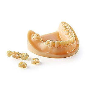 ApplyLabWork Modeling 3D Resins, Compatible for SLA Printers/Laser-Based Printers, High Accuracy, Tan Color