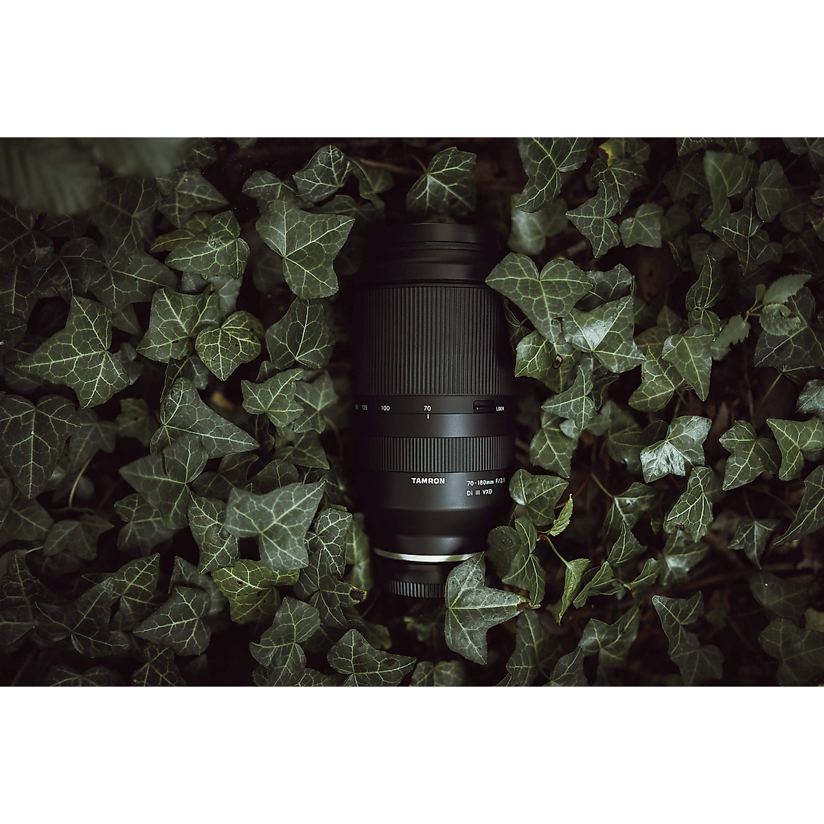 TAMRON 70-180mm F/2.8 Di III VXD A056SF Large Aperture Zoom Telephoto Lens for Sony E Full Frame Mirrorless Cameras