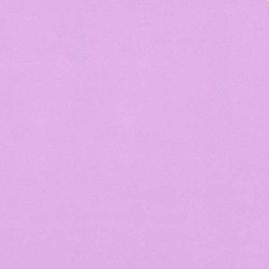 Orchid Purple Cardstock - 8.5 x 11 inch - 65Lb Cover - 50 Sheets - Clear Path Paper