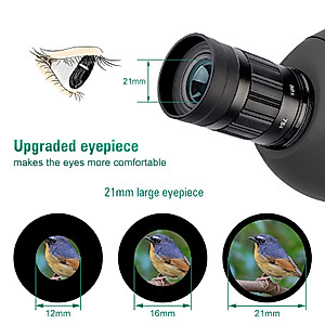 SVBONY SV28 25-75x70 Spotting Scopes with Tripod Bundle with SV146 Tabletop Spotting Scope Tripod for Bird Watching Target Shooting Hunting Wildlife