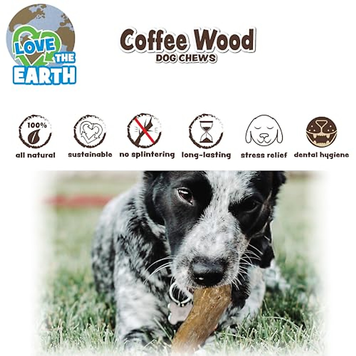SPOT Coffee Wood Dog Chew Toy – 100% Natural & Sustainably Sourced Non-Splintering Wood from Coffee Plants, Long Lasting, Durable Toy for Aggressive Chewers, for Large Dogs and Puppies Up to 99lbs