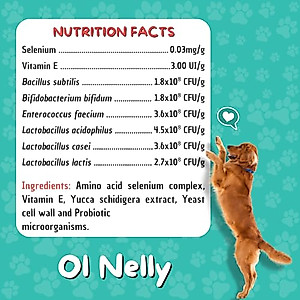 Ol Nelly Prebiotic & Probiotic Dog Probiotic Paste, 6 Strains of Bacteria,18 Bi CFU's + Vitamins, Minerals- Upgraded Formula for Fast Balance GI, Dogs Probiotic Paste (14 g)