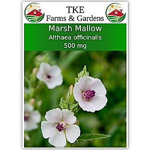 TKE Farms - Marshmallow Seeds for Planting, 500 mg ~ 250 Seeds, Althaea officinalis
