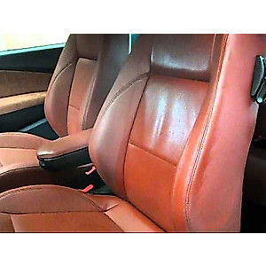 Go Green Leather Conditioner – Organic, 3 in 1 Leather Care, Cleans, Protects and Restores Your Leather, Unleash The Power of Coconut on Your Leather, Perfect for Auto Lovers, Kids and Pet Safe
