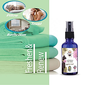 Egyptian Musk Air Freshener - Room Spray - Odor Eliminator - Deodorizer - Car Air Freshener - Home Spray - Linen Spray - Fabric Refresher - Non-Toxic - Alcohol Free - Made in USA (4 Oz)