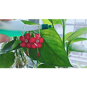 Romantic Crystal Acrylic Rose Flower Earrings Five Leaves Exaggerated Round Hoop long Tassel Earring for Women Jewelry (Red) (Red)