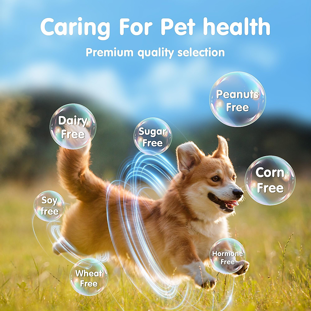 Zingly Hemp Calming Chews for Dogs Anxiety Relief for Dogs Calming Chews - Anxiety Relief Treats, Dog Separation Stress and Anxiety Relief Calming Care Treats for Dogs, Bacon, 30 Counts