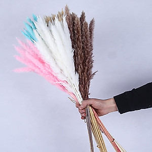 Mosichi Artificial Flower,15Pcs/Bundle Small Pampas Grass Ornamental Desktop Decor Dried Flower Birthday Party Artificial Reed Bouquet for Garden Garden - Blue
