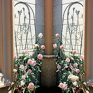 eLeGreen 2 Pack Metal Garden Trellis for Climbing Plants 19.7''x 71'' Rustproof Metal Rose Trellis Vines Peas Support Plant Stand Black
