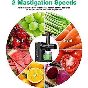 BLITZHOME Cold Press Juicer machines, 2-Speed Modes Slow Masticating Juicer for Vegetable and Fruit, with Quiet Motor/Reverse Function/Wide 1.73" Feed Chute, Easy to Clean