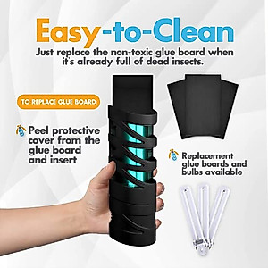 FlyWeb - Fruit Fly Traps for Indoors, Gnat Traps for House Indoor - Made in USA, Fruit Fly Killer, Non Bug Zapper Indoor, Plug in Bug Catcher Indoor, Bug Light Indoor, UV Light, Gardner (Black)