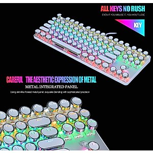 Type Writer Keyboard, Typewriter-Style Steampunk Mechanical Gaming Keyboards Blue Switch with 9 True RGB Backlight Modes and 87-Key Wired Keyboard with Spill-Resistant (Round Keycaps)