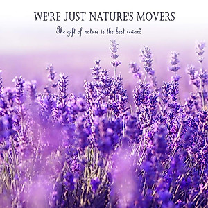 Hslife 250g 5A Level Dried Lavender Flower Buds Organic Lavender Flowers，Natural Fragrance Dried Lavender Flower for Tea, Soap Making, Baking, Baths