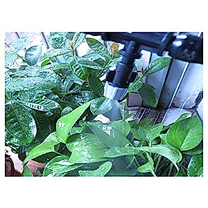 Uongfi Garden Hoses 1 Sets Fog Nozzles Irrigation System Portable Misting Automatic Watering 10m Garden Hose Spray Head with 4/7mm Tee and Connector hosing Pipe (Color : Water kit)